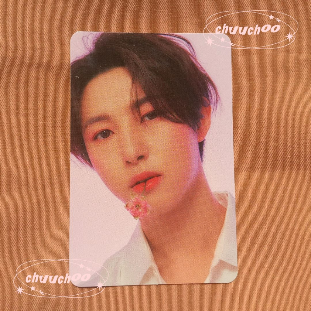 Jual PC Photocard Official Renjun Konsep Candylab V4 Renjun Gigit Bunga ...