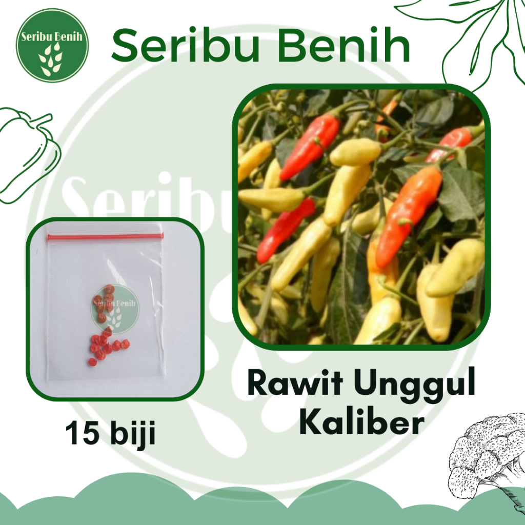 Jual 15 Benih Cabe Rawit Kaliber Tahan Virus dan Layu - Bibit Cabai ...