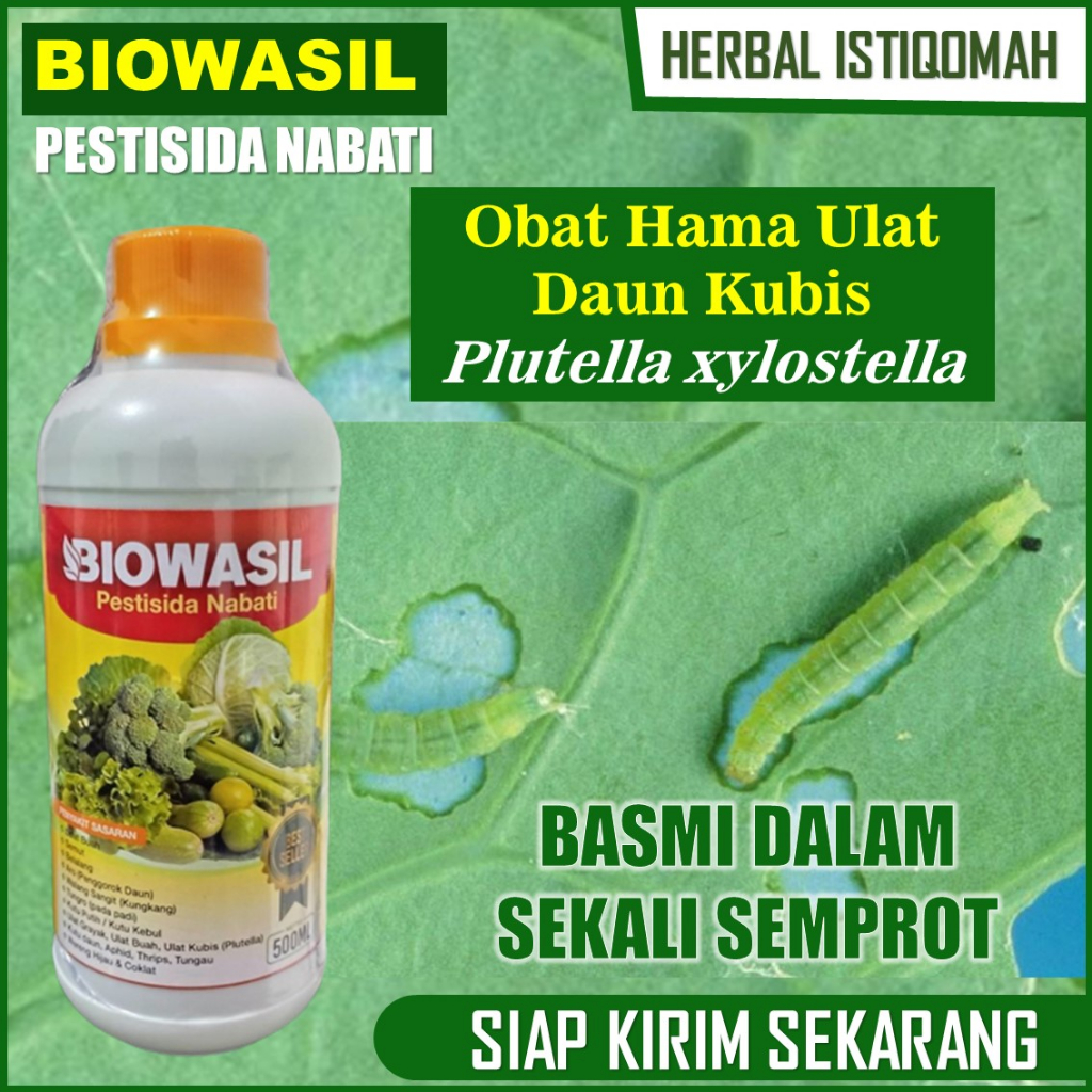 Jual REKOMENDED Pestisida Semprot Pengendali Hama Ulat Daun Kubis ...