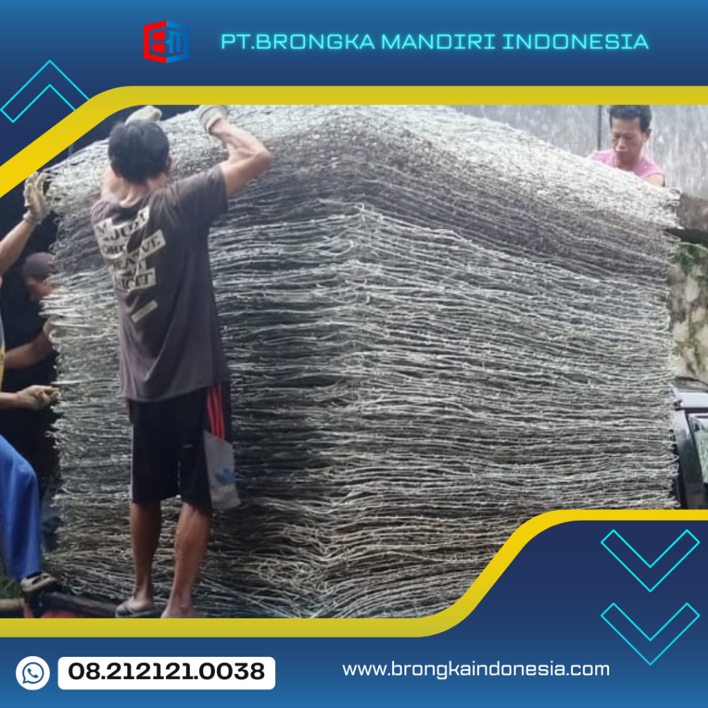 Jual KAWAT BRONJONG GALVANIS MANUAL 2x0,8x0,5 M 2,7MM; 3,4MM | Shopee ...