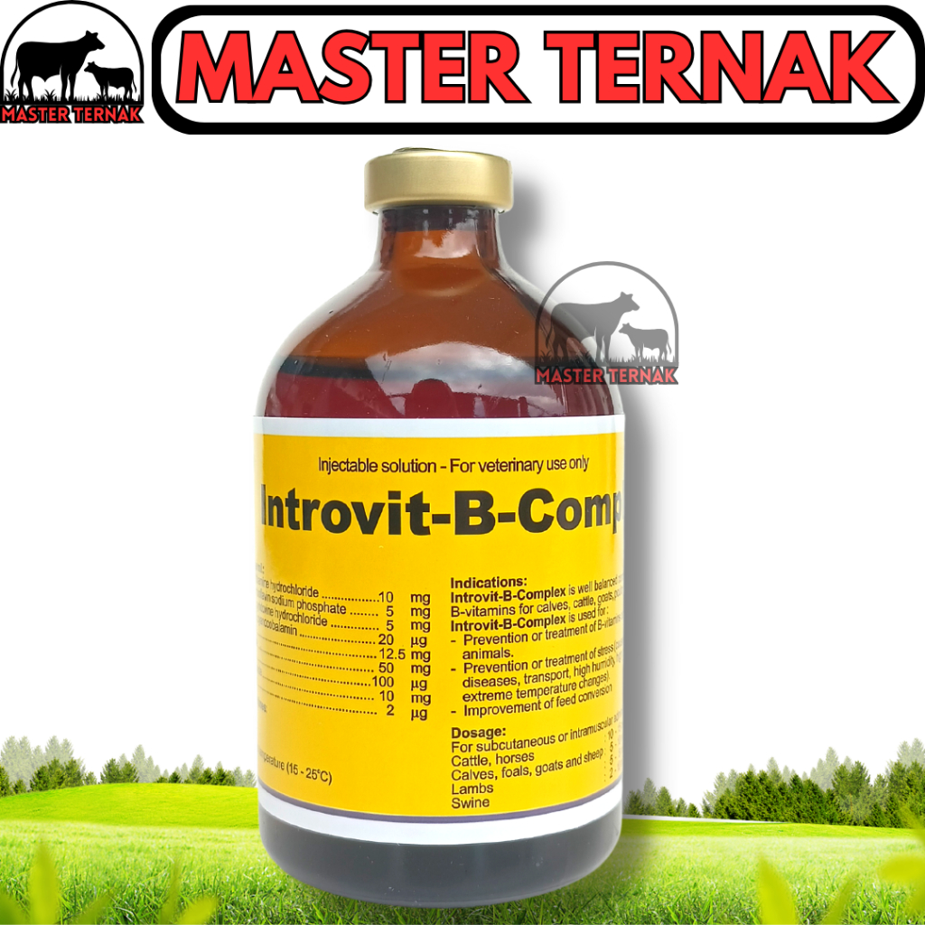 Jual INTROVIT B COMPLEX 100ml Original - (KONSENTRASI TINGGI DAN BIOTIN ...