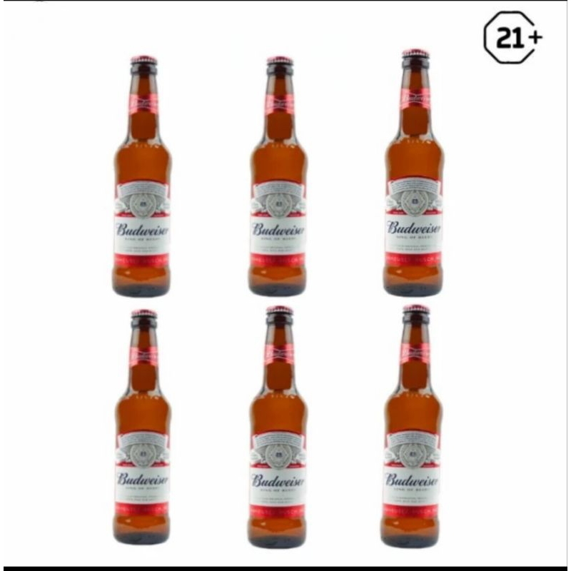Jual 6 Botol Budweiser American Lager King Of Beer 330ml | Shopee Indonesia