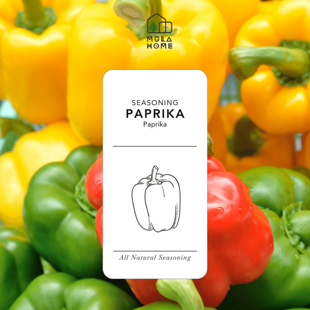 Jual AN01 STICKER LABEL SPICE JAR Stiker Bumbu Dapur Minimalis Estetik ...