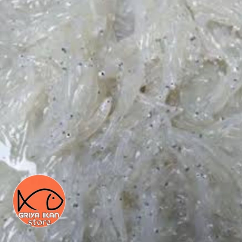 Jual IKAN TERI MEDAN - Teri Nasi basah segar | Shopee Indonesia