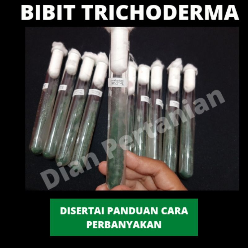 Jual BIBIT TRICODERMA / BIANG FUNGISIDA BIOLOGI TRICODERMA | Shopee ...