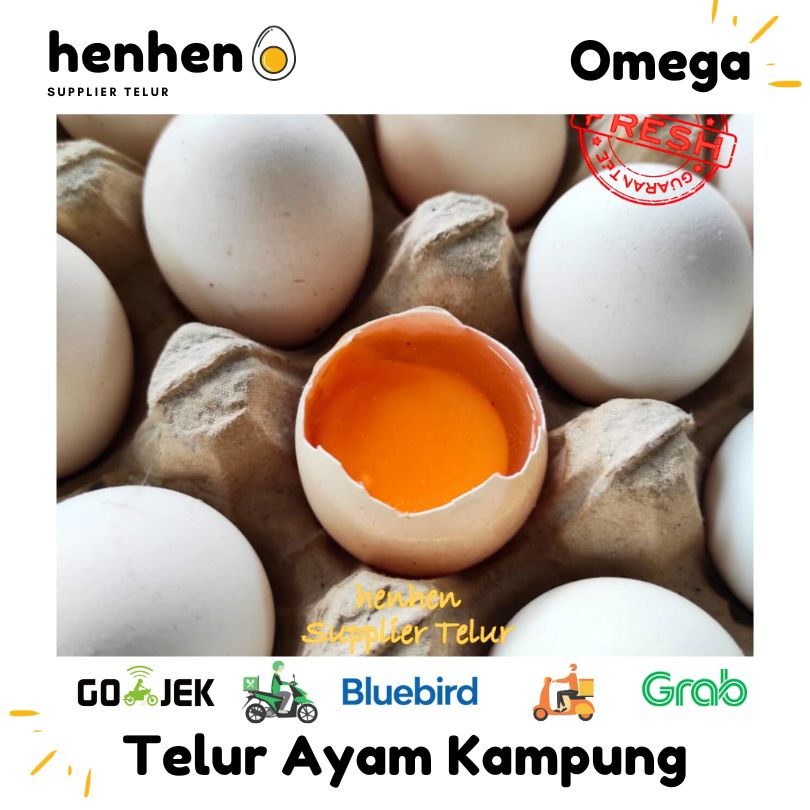 Jual TELUR AYAM Kampung OMEGA Supplier Telur Hen-hen | Shopee Indonesia