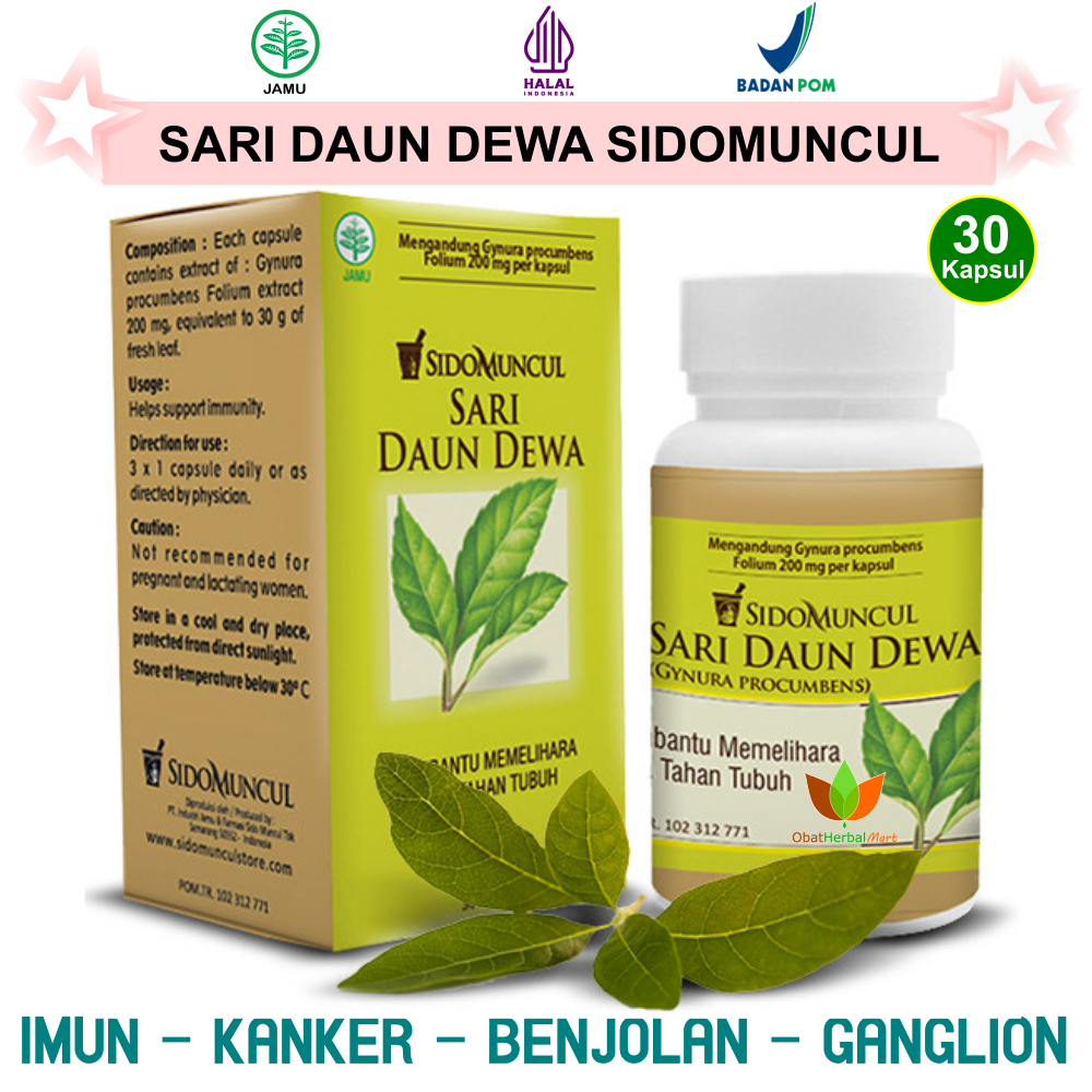 Jual 30 KAPSUL SARI DAUN DEWA SIDOMUNCUL JAMU HERBAL OBAT PENDARAHAN ...