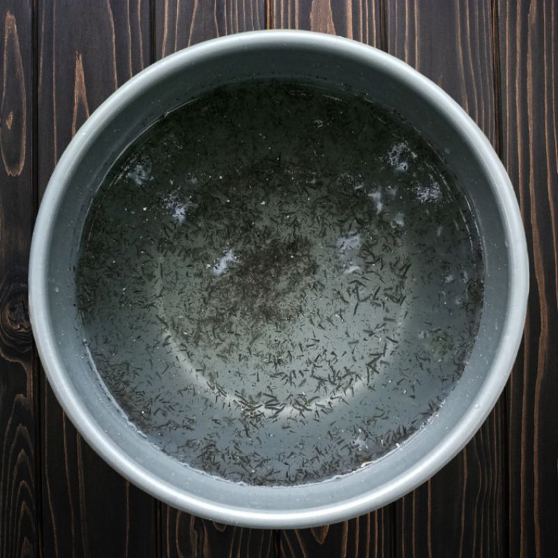 Jual encu jentik nyamuk pakan ikan | Shopee Indonesia