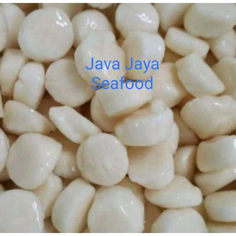 Jual Daging Scallop / Kerang Kampak / Kerang Simping | Shopee Indonesia