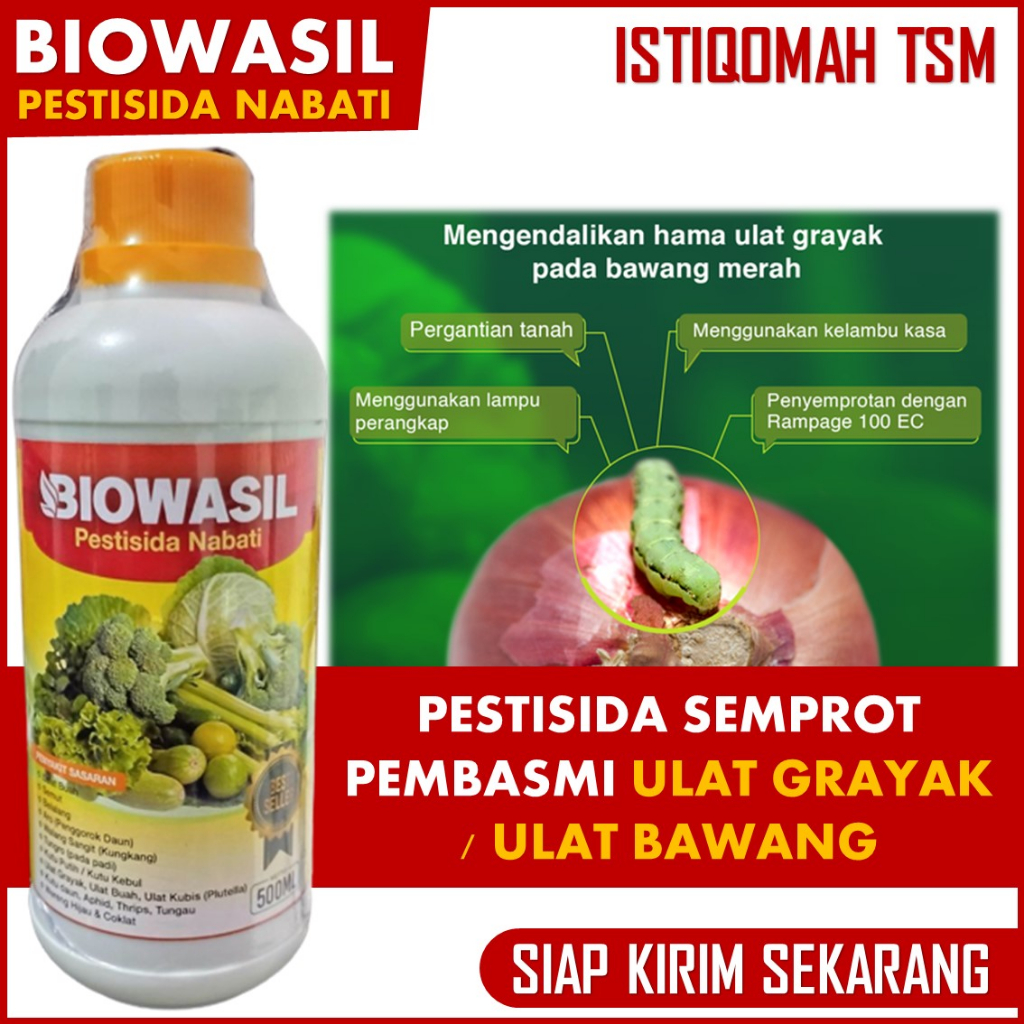 Jual BIOWASIL 500 ML Pengendali Hama Ulat Bawang Merah Terbaik - Pupuk ...
