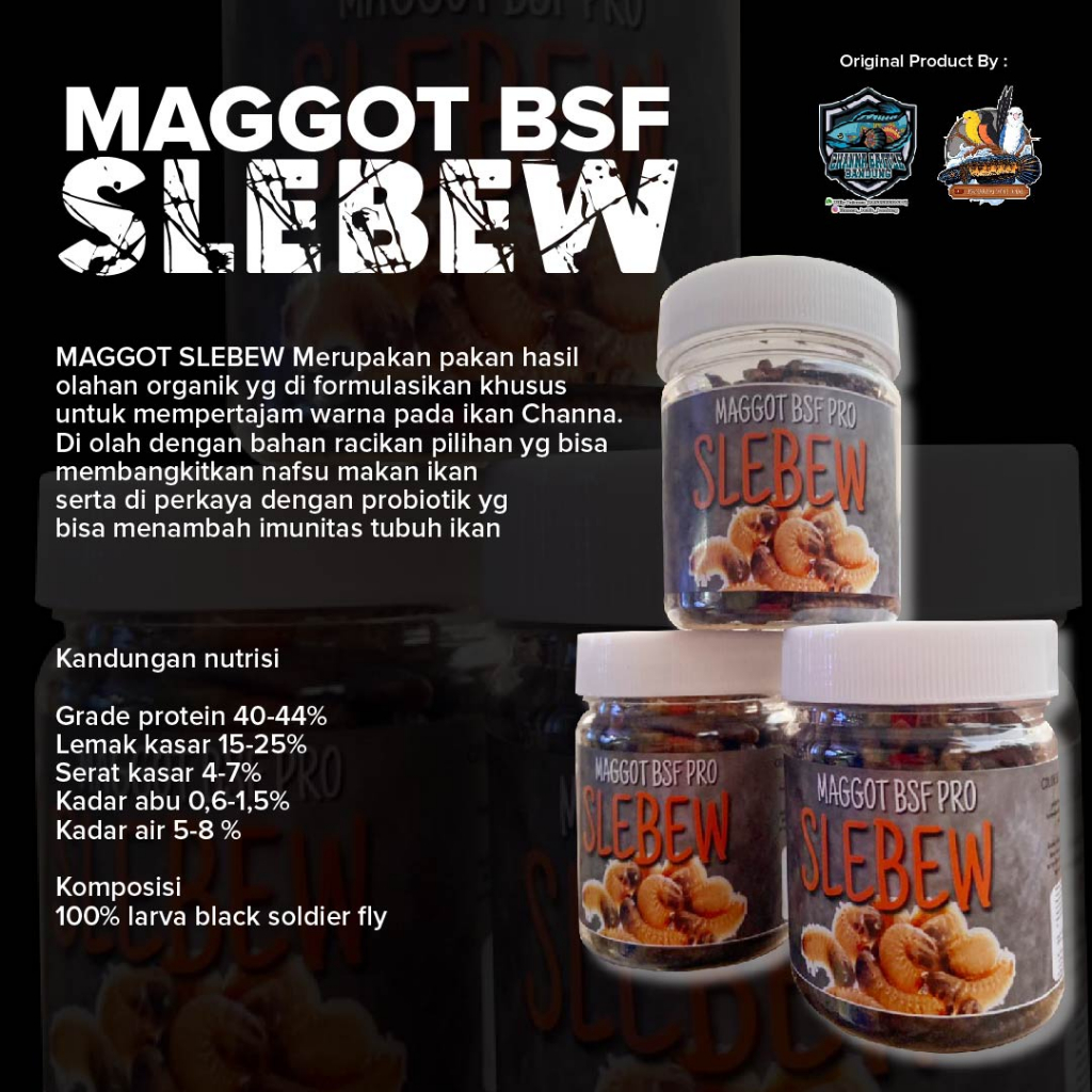 Jual Maggot Slebew / Magot untuk menaikan warna / magot untuk auranti ...