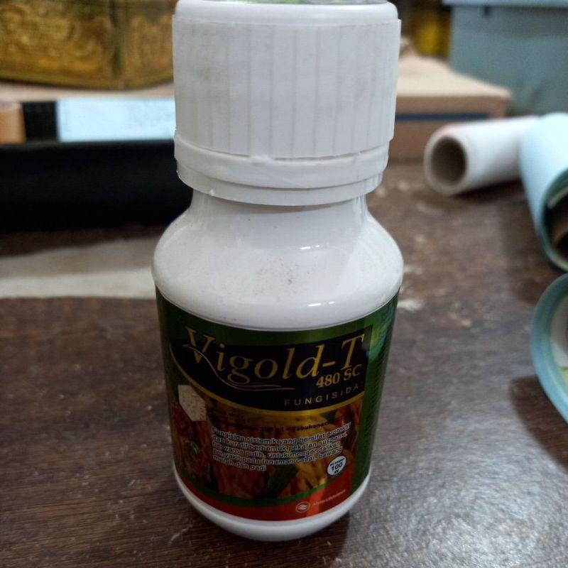 Jual VIGOLD-T 100 ML | Shopee Indonesia