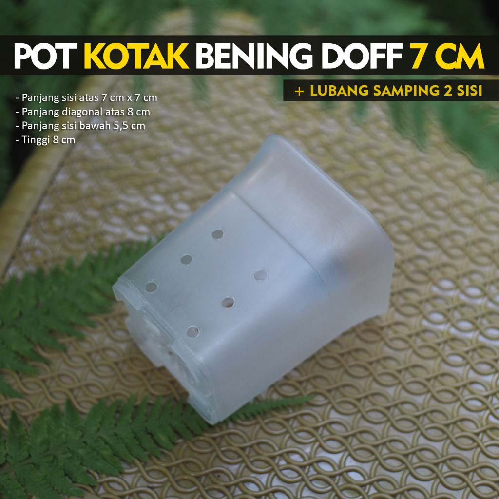Jual Pot Bening Kotak 7x7 cm - Pot Bening Tinggi Ada Lubang Samping ...