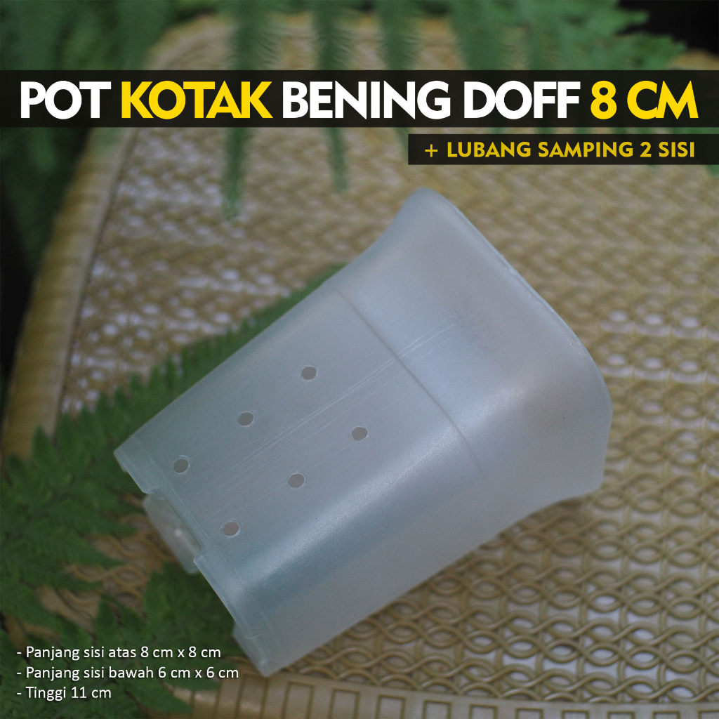 Jual Pot Bening Kotak 8x8 cm - Pot Bening Tinggi Ada Lubang Samping ...