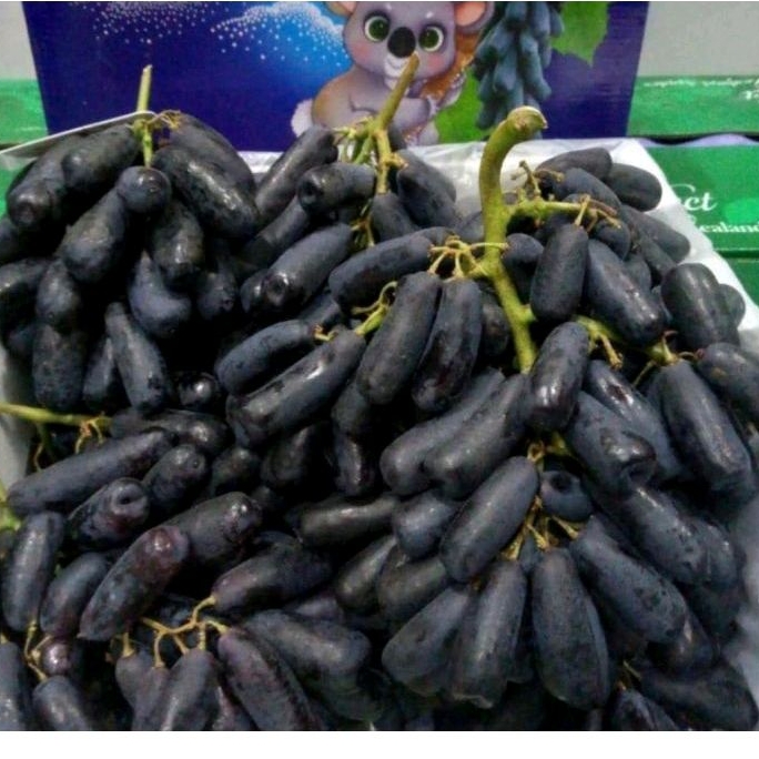 Jual Buah Anggur Autum Jari (panjang) tanpa biji impor 500gr | Shopee ...