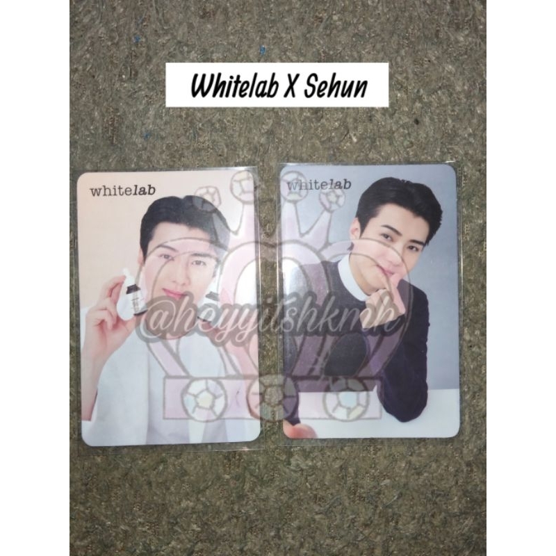 Jual (OFFICIAL) PHOTOCARD OFFICIAL WHITELAB X SEHUN EXO | Shopee Indonesia