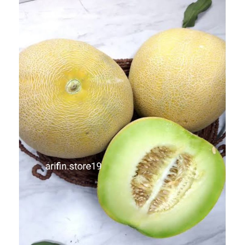 Jual Melon Madu / Rock Melon /Melon Hijau /1 Buah (2,2kg) | Shopee ...