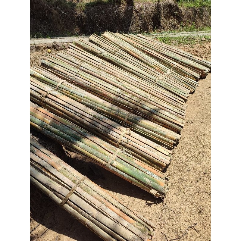 Jual Bambu Bilah Sesek Panjang 2 Meter Lebar 3-4 cm | Shopee Indonesia