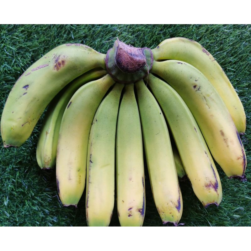 Jual BUAH PISANG AMBON 1 SISIR MATANG MANIS | Shopee Indonesia