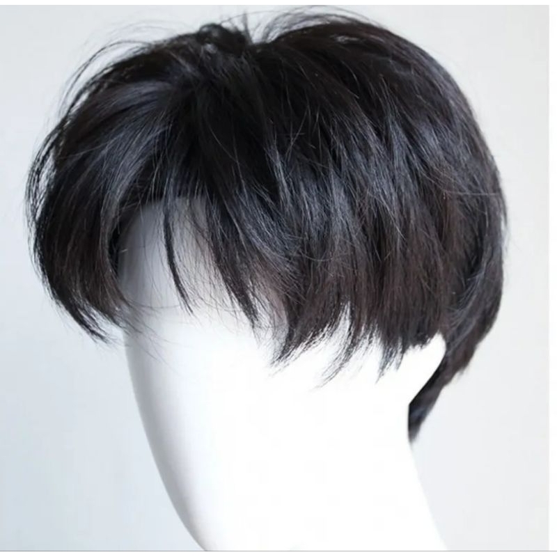 Jual WIG PRIA RAMBUT PENDEK MODEL COWOK KOREA | Shopee Indonesia