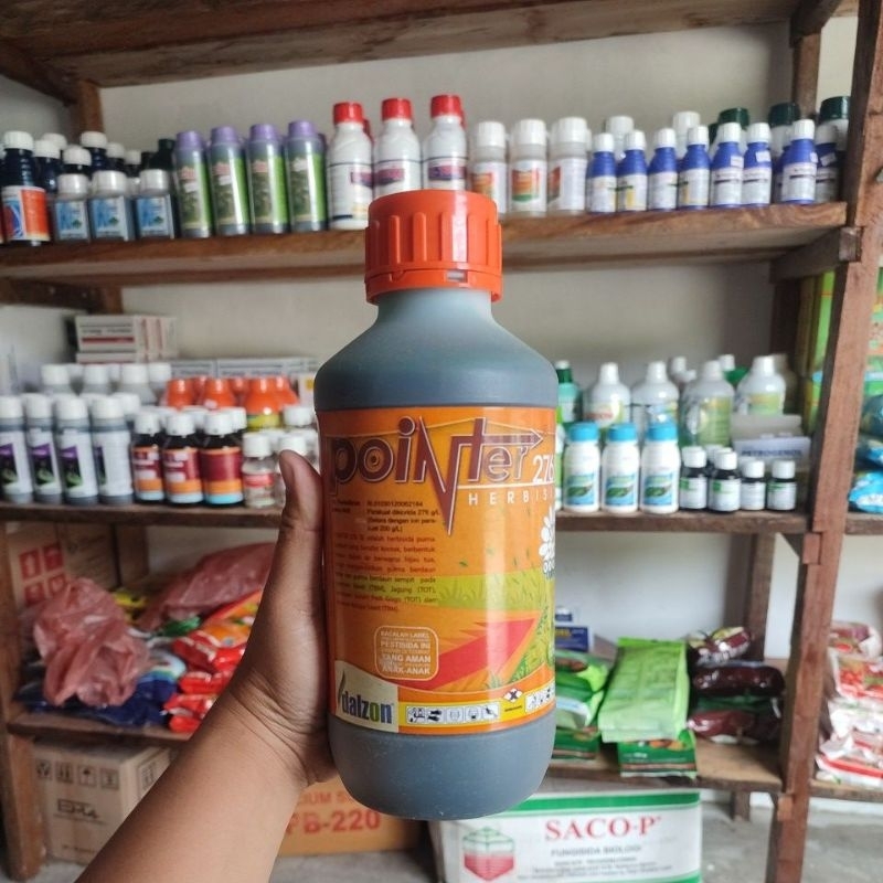 Jual Pembasmi rumput Herbisida POINTER 1 LITER | Shopee Indonesia