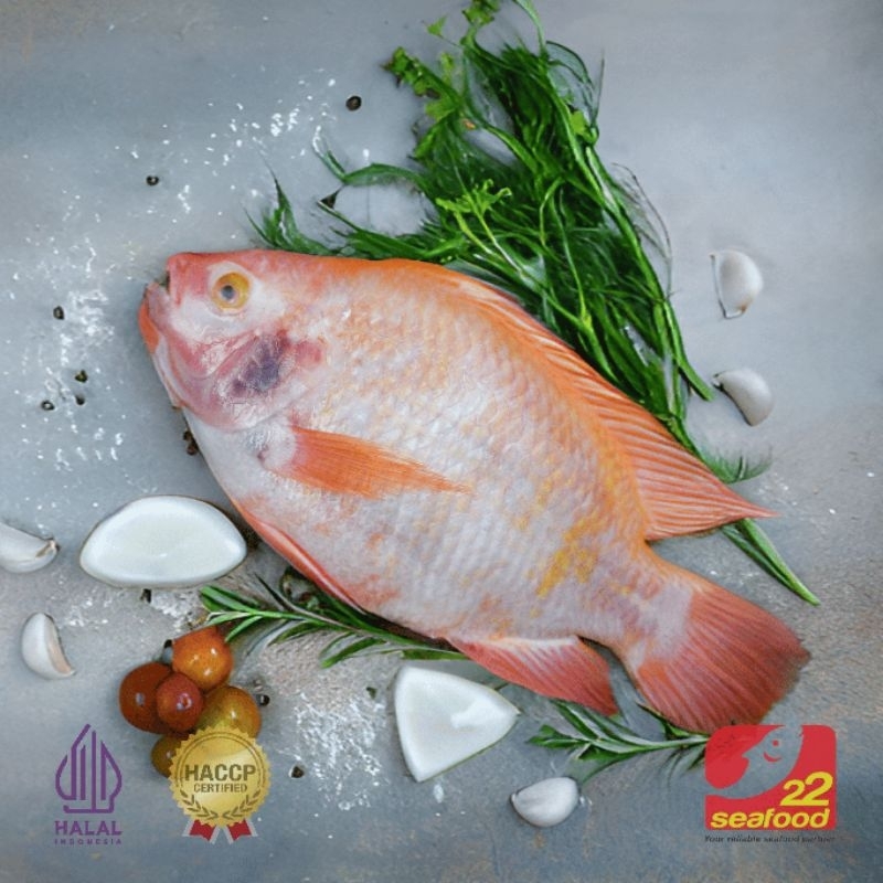 Jual Ikan Nila Merah WGGS 1 kg ( Bersih tanpa sisik dan jeroan ...
