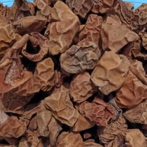 Jual ORGANIK DAGING KULIT BUAH PALA KERING TERMURAH-250 GRAM | Shopee ...