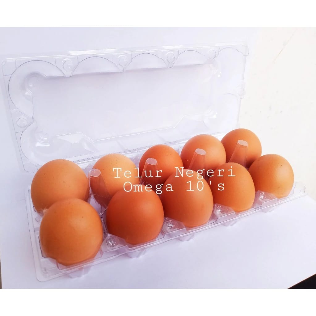 Jual Telur Omega Premium 10 Butir | Shopee Indonesia