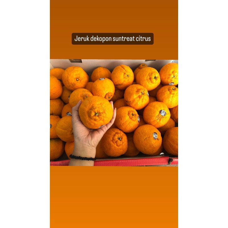 Jual Jeruk Dekopon Suntreat Citrus / kg | Shopee Indonesia