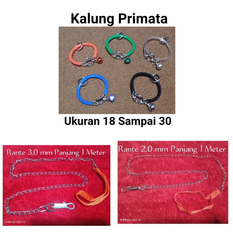 Jual Kalung & Rante Primata ukuran 18 Cm ( Lingkar Luar ) | Shopee Indonesia
