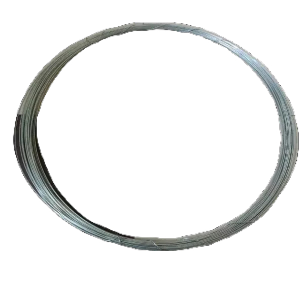 Jual Kawat Seng BWG 16(1,6mm) / Kawat Galvanis 1/2 Kg dan 1 Kg | Shopee Indonesia