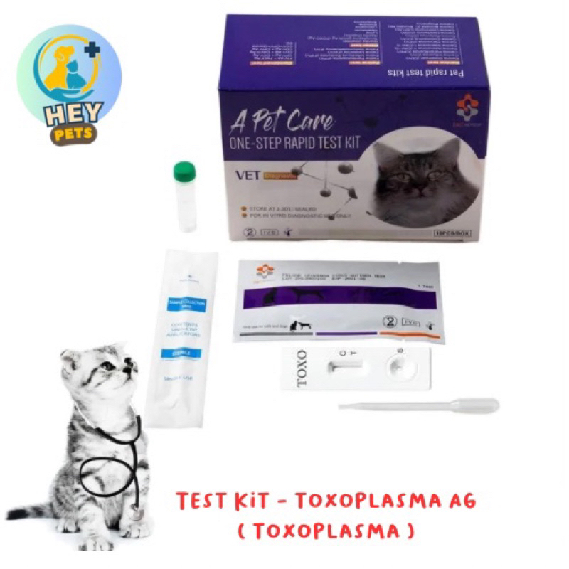 Jual Test Kit Toxoplasma (TOXOPLASMA ag) - 1 BOX | Shopee Indonesia