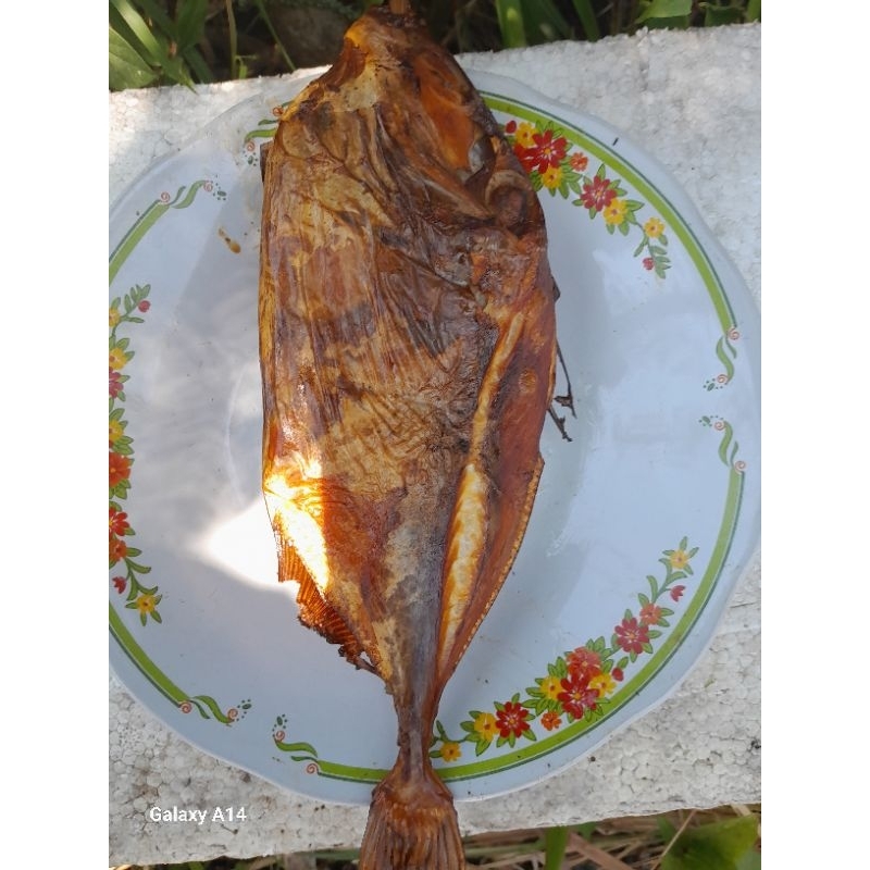Jual Ikan Asap Ayam Laut 375g Ikan Togek Ikan Segar | Shopee Indonesia