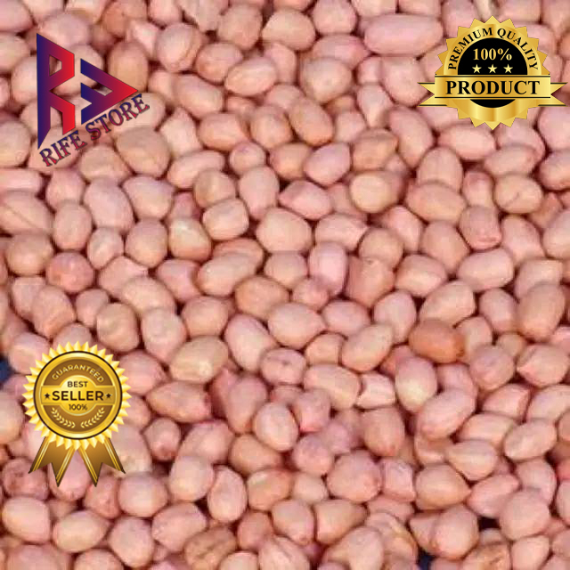 Jual Kacang Tanah putih 1 Kg / Kacang jawa murah / Kacang brul / kacang ...