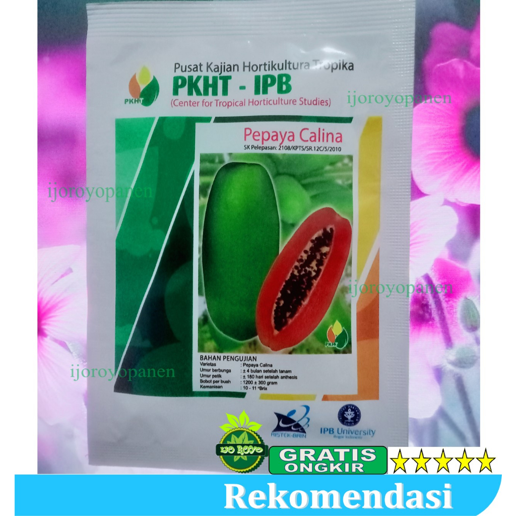 Jual BENIH PEPAYA CALINA CALIFORNIA IPB ISI 250 butir PKHT IPB original ...