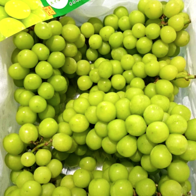 Jual Anggur Hijau Shine Muscat Seedless 400g | Shopee Indonesia
