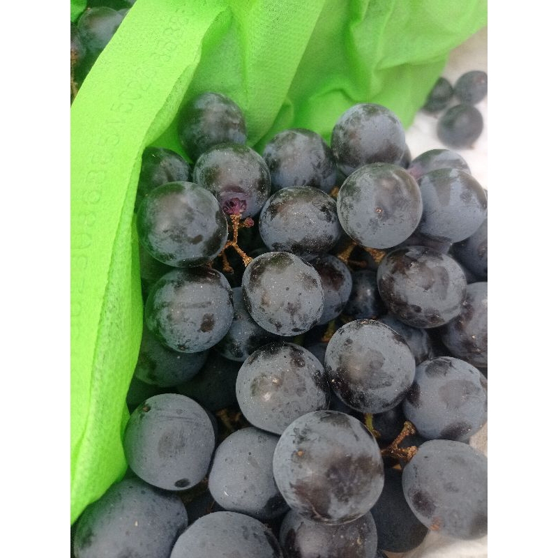 Jual buah anggur hitam autumn | Shopee Indonesia