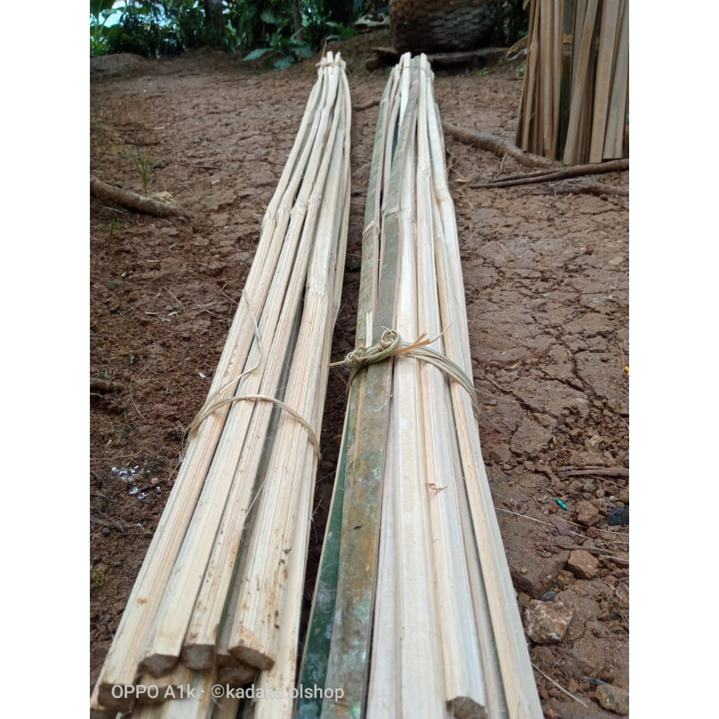 Jual ajir turus tiang bambu bilah panjang 300cm/3 meter penyangga ...