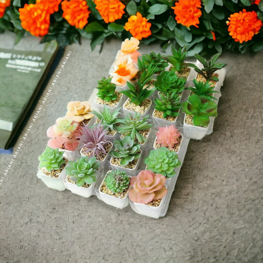 Jual Pot Bonsai Bunga Mini Hiasan Tanaman Kaktus Hias | Shopee Indonesia