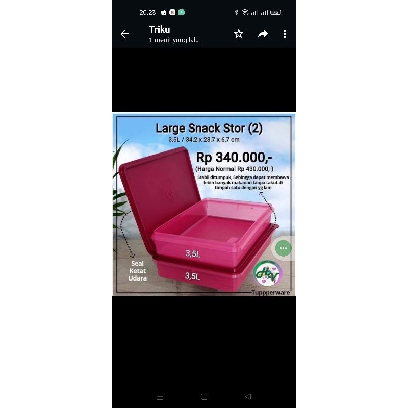 Jual Tupperware tempat kue ukuran jumbo | Shopee Indonesia