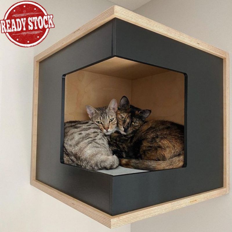 Jual Cat Box | Kotak Kucing | Mainan Kucing | Kandang Kucing | Shopee ...