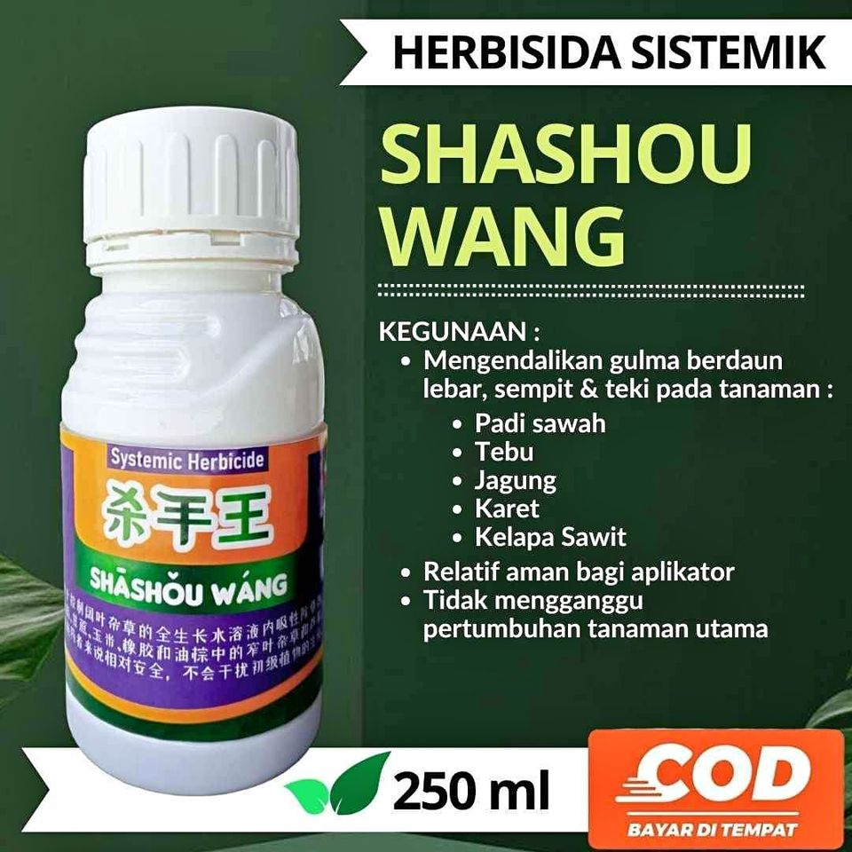 Jual SHASHOU WANG UNGU SUPER - Herbisida Sitemik, Racun Rumput Sitemik ...