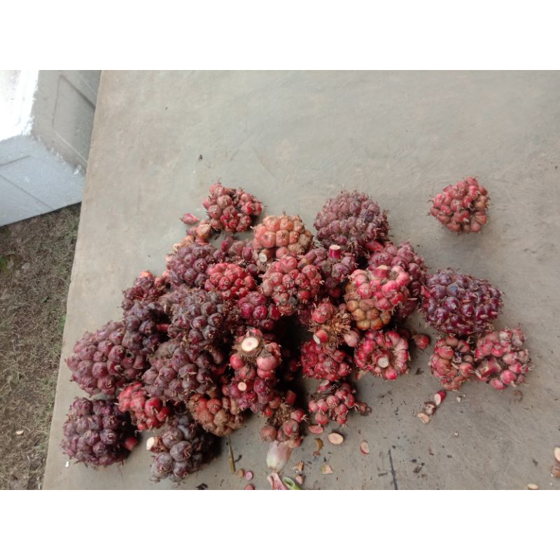 Jual buah honje segar per kg 25000 | Shopee Indonesia