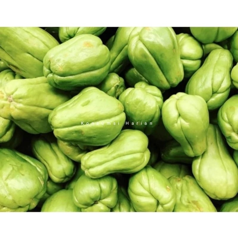 Jual Labu Siam / Chayote 1 Pcs | Shopee Indonesia