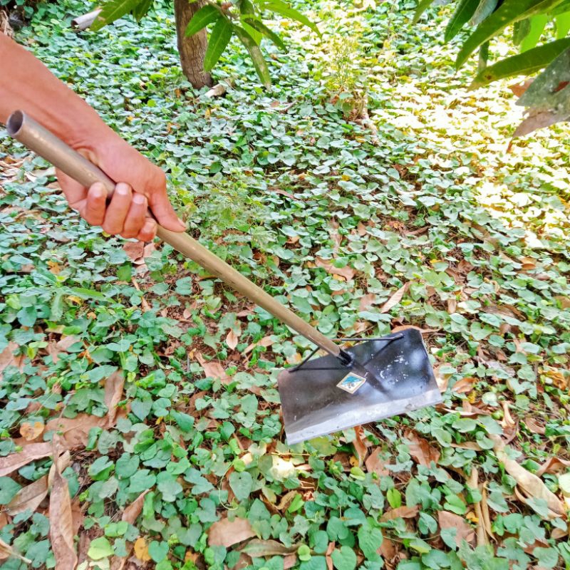Jual CANGKUL GARUKAN GABAH GAGANG PIPA BESI CAP AYAM JAGO - CANGKUL ...