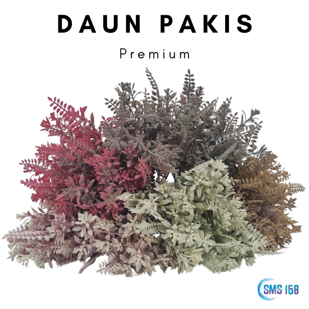 Jual Daun pakis Premium | Shopee Indonesia