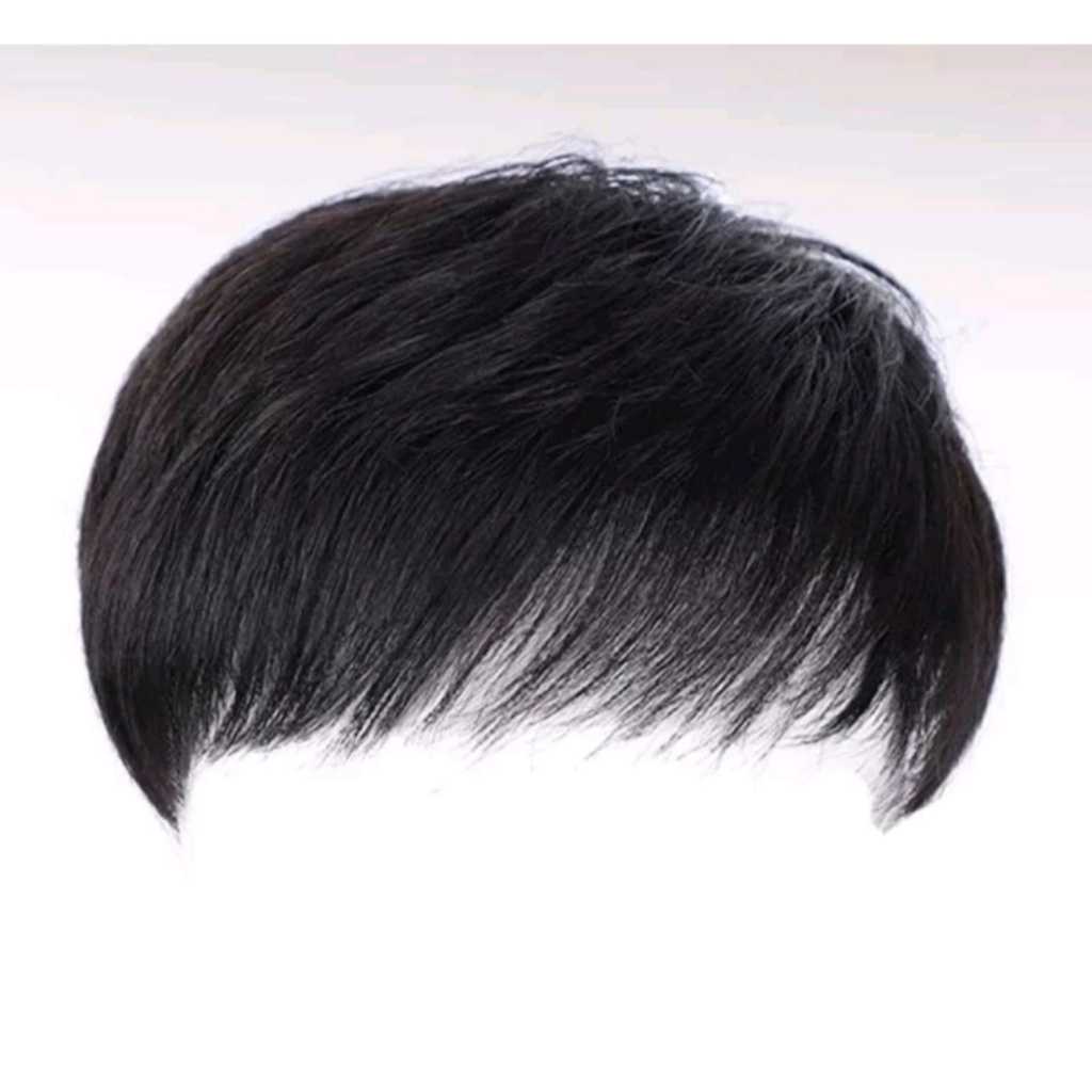 Jual Toupee Premium Penutup Botak Pria Warna Hitam Natural Wig Penutup ...
