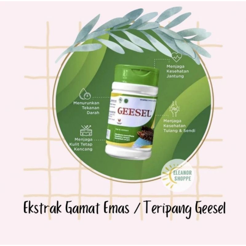 Jual Multivitamin Gamat Emas / Teripang GEESEL - Vitamin Anak Dewasa ...