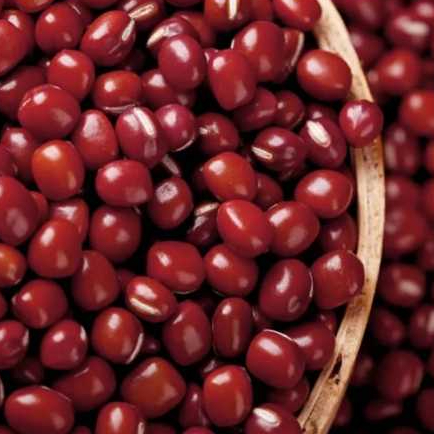 Jual kacang merah azuki azkusi 500gr adzuki red bean import | Shopee ...