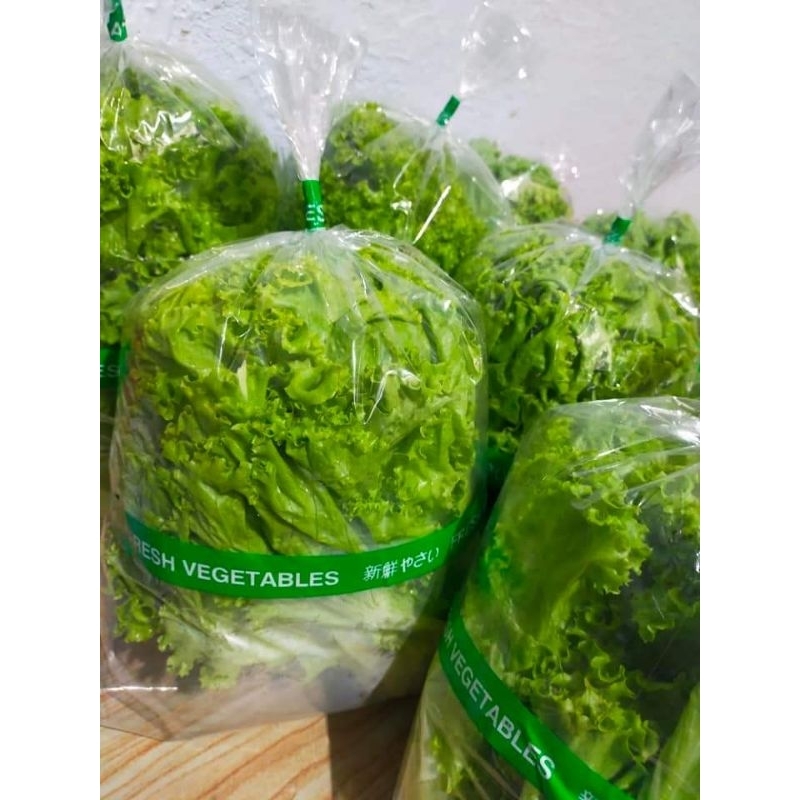 Jual slada | Shopee Indonesia